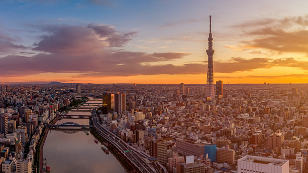 How Japan regained its mojo - James Halse | Livewire