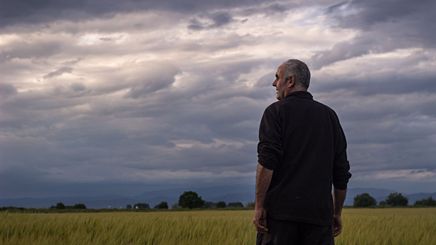 The foggy skies will clear for cloud computing - Sally Fang | Livewire