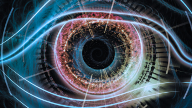 Quality investing: more than meets the AI - Arian Neiron | Livewire