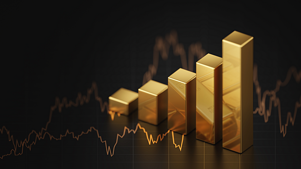 Report shows ETFs rivalling central banks as the champion of gold ...