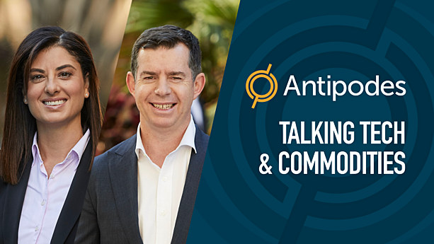 Investing in a higher-for-longer world: tech, commodities, or both ...