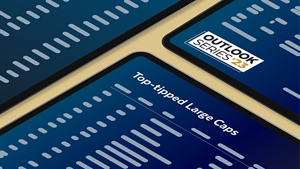 Here's how the top-tipped large caps performed in 2022 - Chris Conway ...