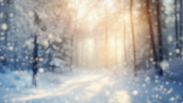 Lessons from the Quant Winter - Dr David Walsh | Livewire