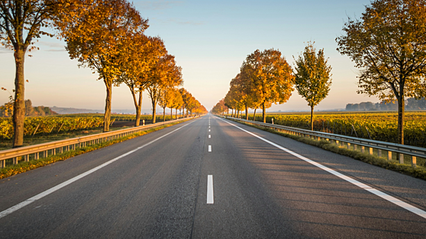 Still on Track - Alex Cathcart | Livewire