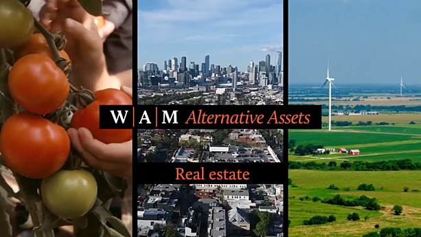 WAM Alternative Assets education series | Real estate - Dania Zinurova ...