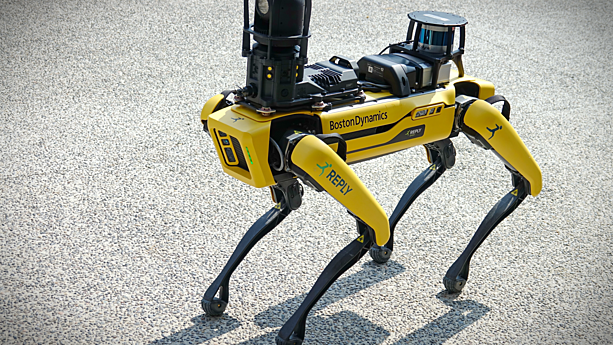 Picks and Shovels in the AI Era - Alvise Peggion, CFA | Livewire