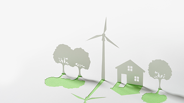 Sustainable investing gets COVID boost - Arian Neiron | Livewire