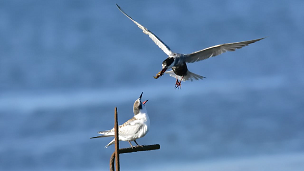 How to nurture your portfolio with 2 long-term thematics - Richard ...