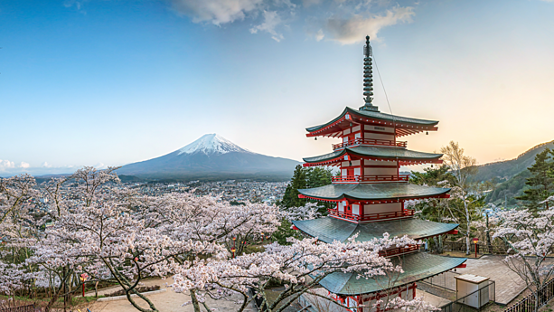 Fairlight’s approach to investing in Japan - Alvise Peggion, CFA | Livewire