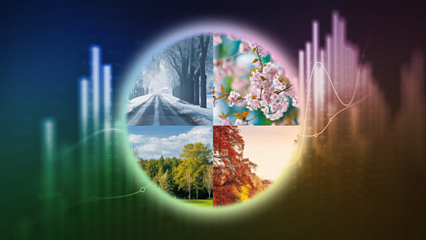 How to invest through every economic season - Arian Neiron | Livewire